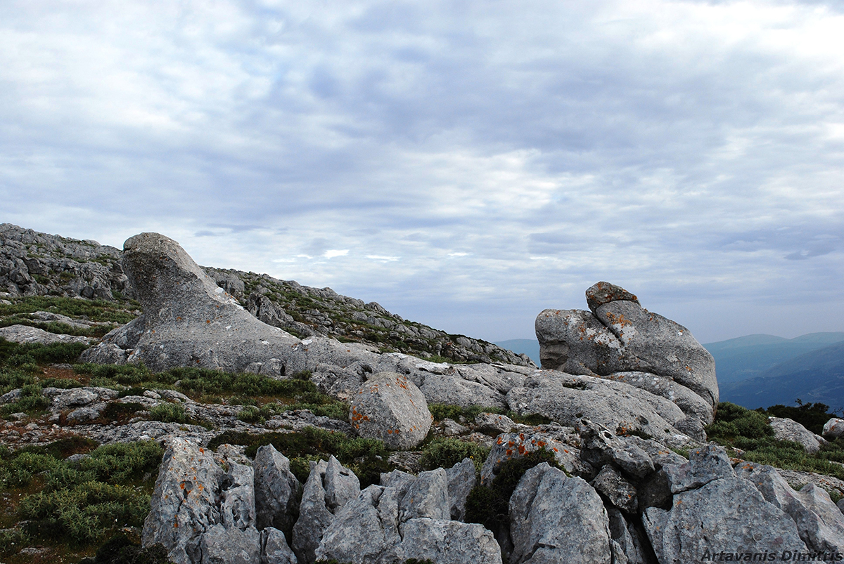 Anogi » Ithaca Greece Tourism | Municipality of Ithaca